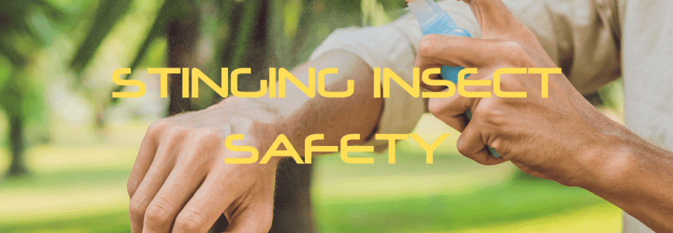 Toolbox Talk: Stinging Insect Safety - Just Catamarans